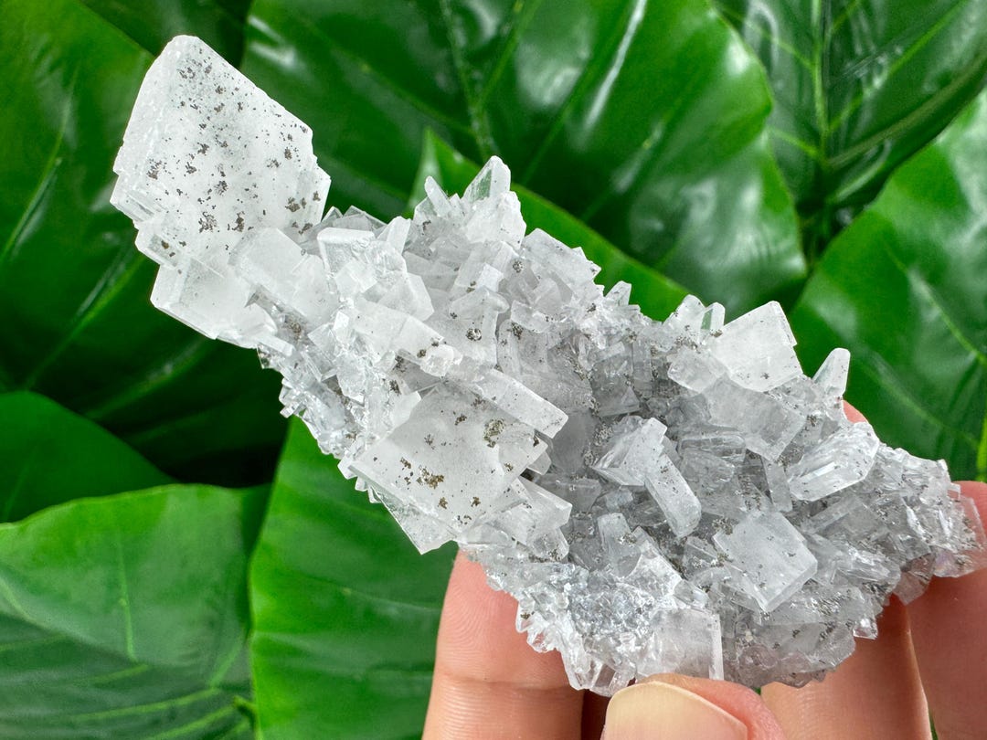 Transparent Baryte With Pyrite From Androvo Mine,zlatograd,bulgaria ...