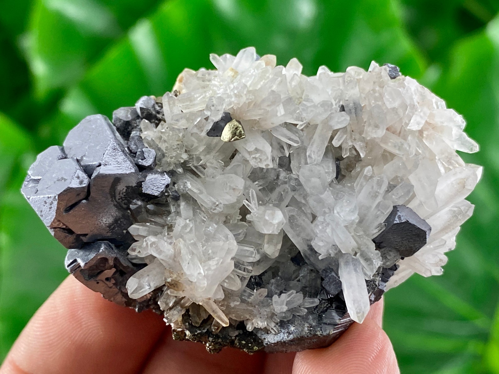 Quartz With Galena and Chalcopyrite From 9th September Mine,madan ...