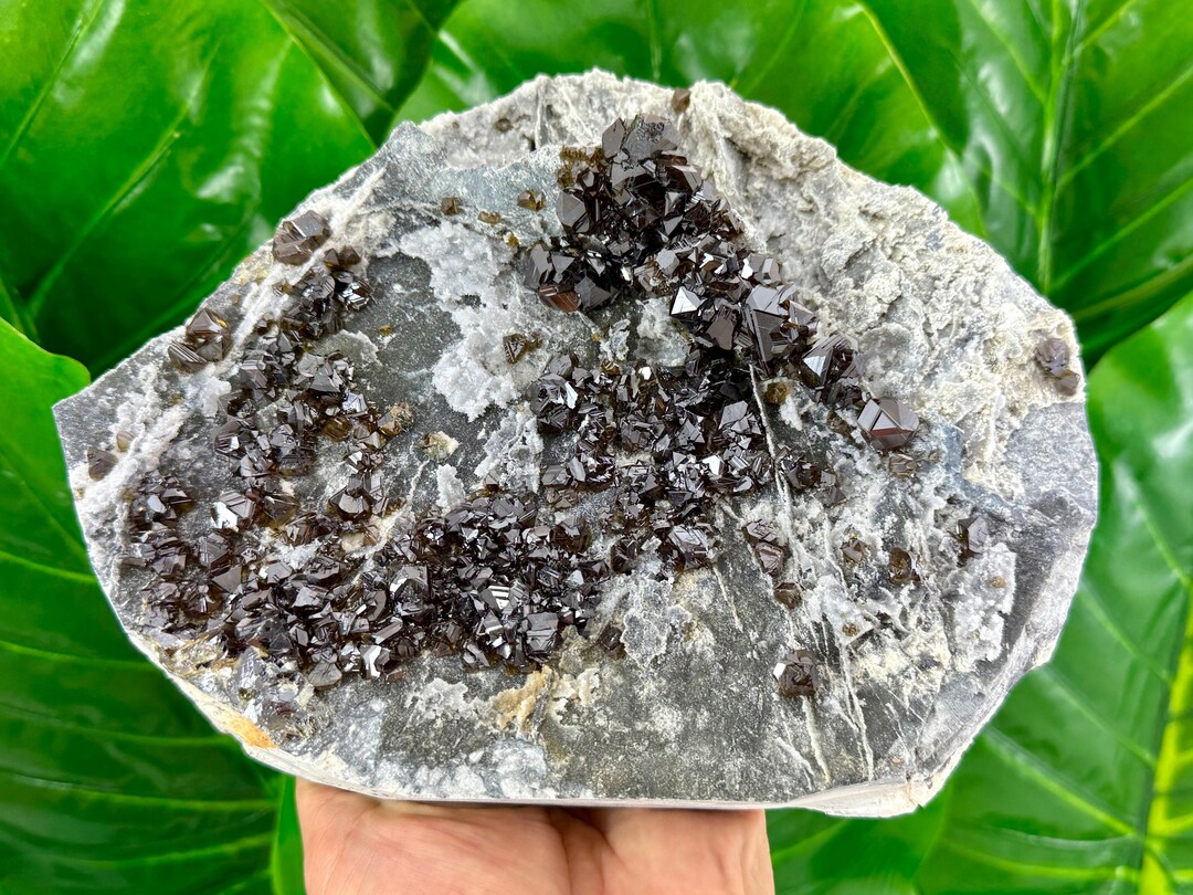 Museum Large Gem Sphalerite on Matrix From Krushev Dol Mine,madan ...