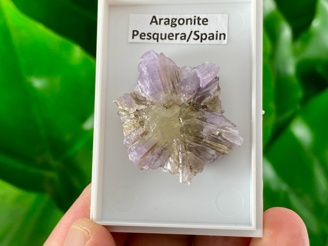 Amazing Aragonite Flower From Spain,aragonite Crystal,cluster,natural ...