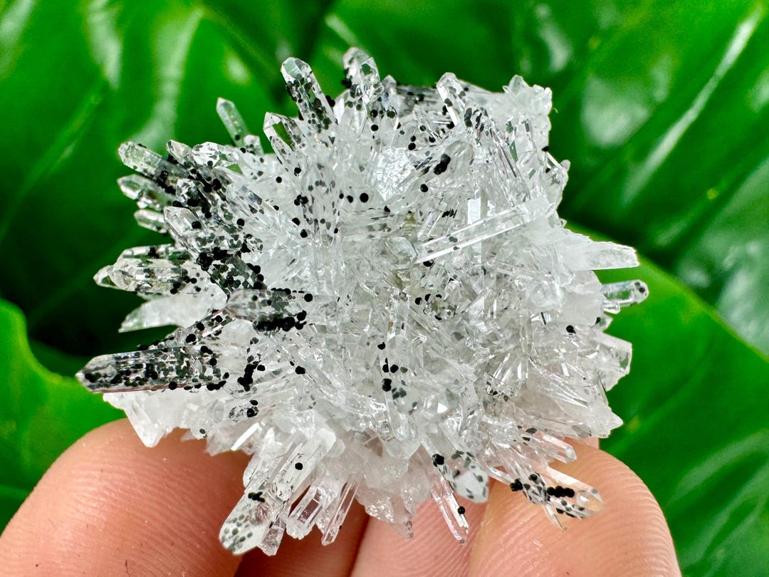 RARE Transparent Quartz With Chlorite From Borieva Mine,madan,bulgaria ...