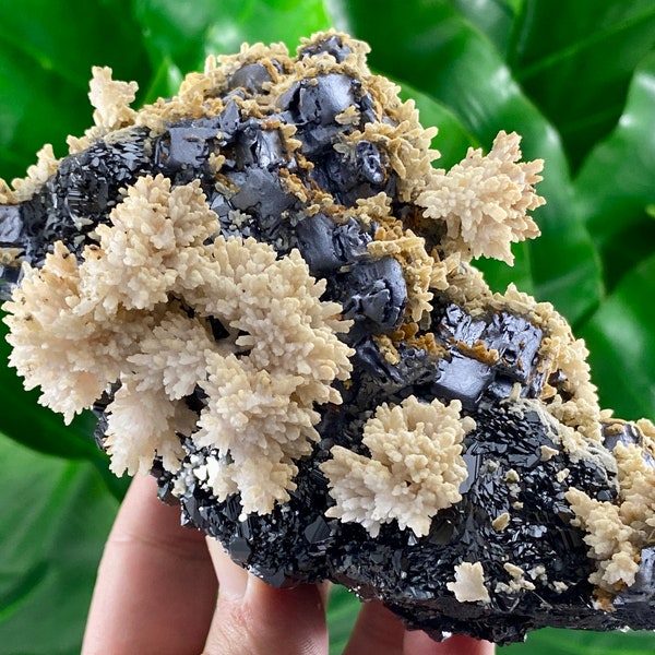 Rare Minerals - Etsy