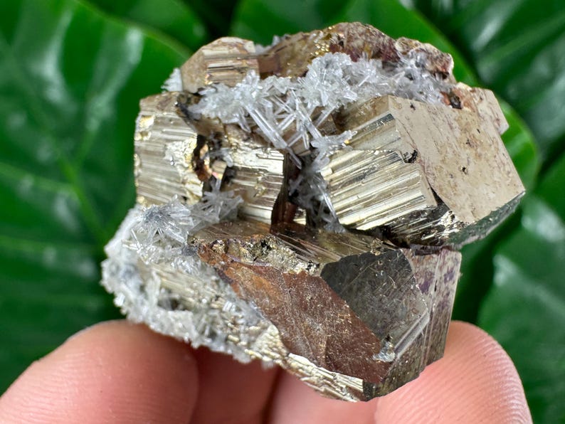 100% Natural Iridescent Pyrite From Borieva Mine,madan,bulgaria,clear ...