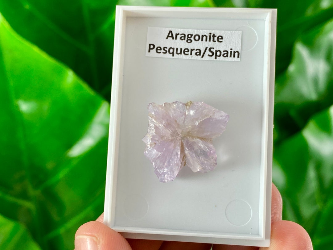 Amazing Aragonite Flower From Spainaragonite - Etsy