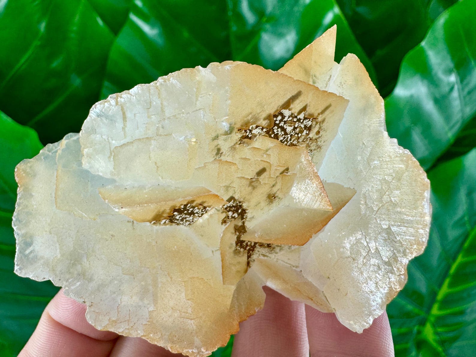 Very Rare Calcite With Iron Oxide,chlorite Inclusions From Krushev Dol ...