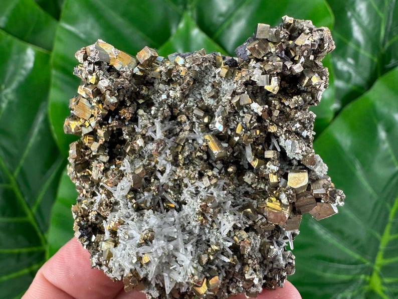 Pyrite With Quartz,sphalerite From Krushev Dol Mine Madan,bulgaria,n622 ...
