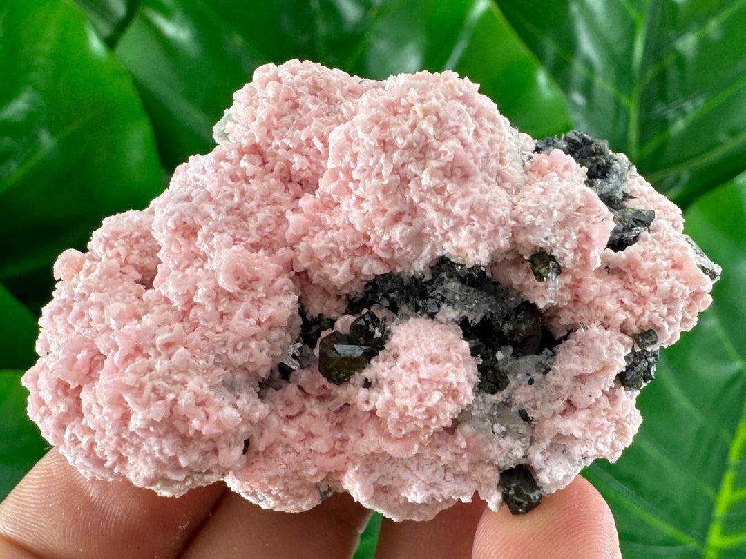 Amazing Rhodochrosite With Sphalerite and Quartz From Davidkovo Ore ...