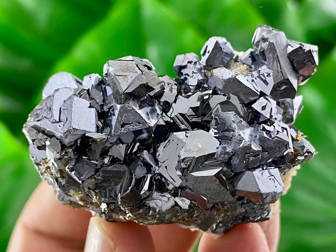 Gem Sphalerite With Galena From Krushev Dol Mine,madan,bulgaria,home ...