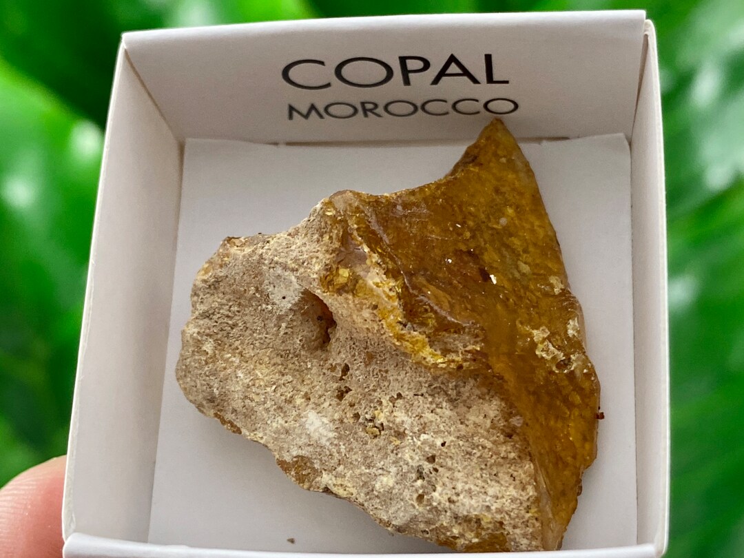 Amazing Copal From Morocco,morocco Minerals,amber Copal Amber Stone for ...