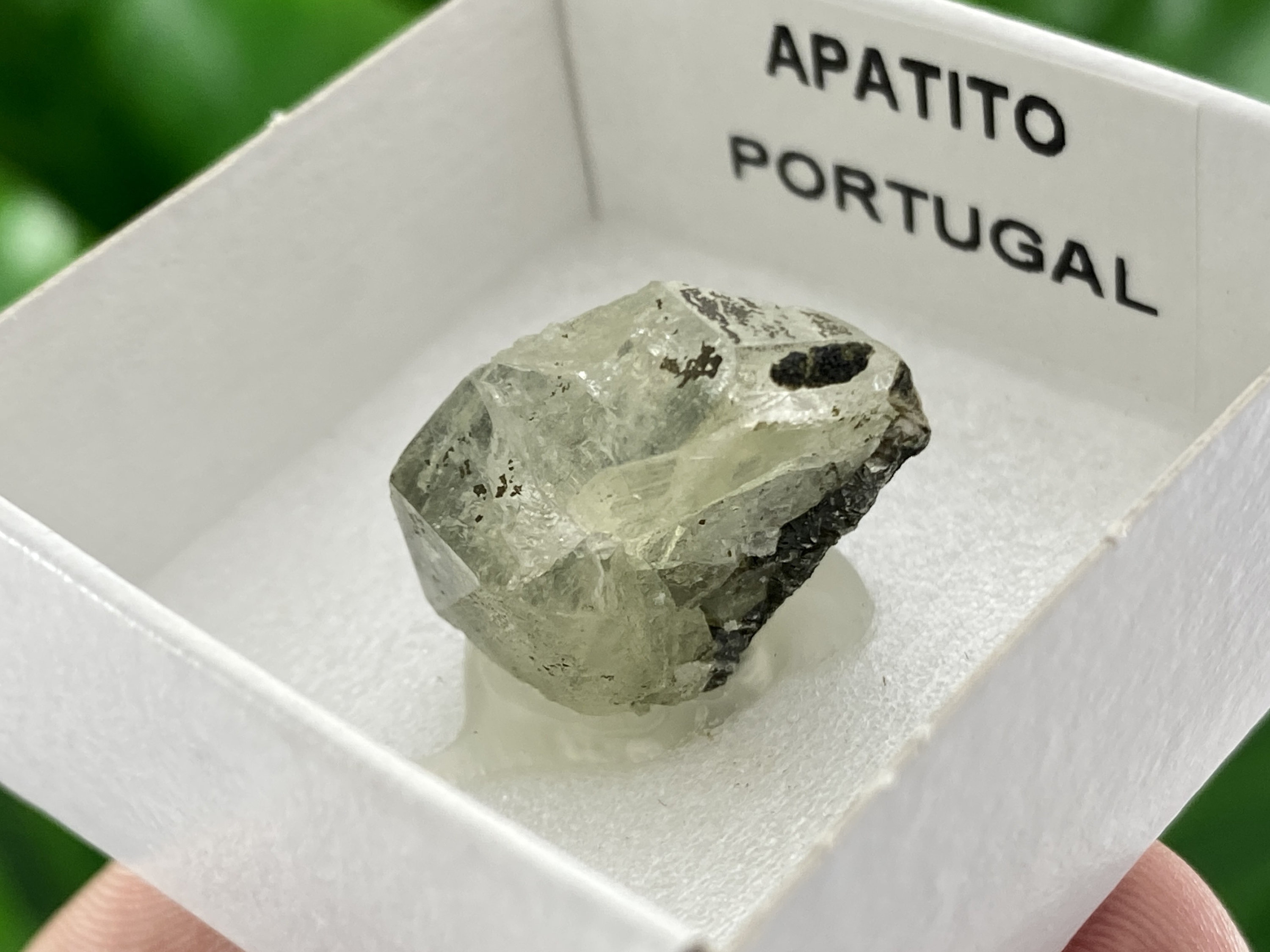Rare Green Apatite From Portugal,mineral,specimen,collectible ...