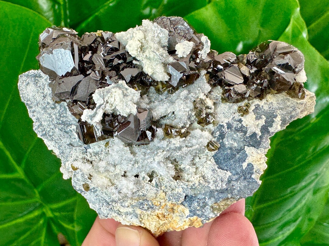 Gem Sphalerite on Matrix From Krushev Dol Mine,madan,bulgaria,home ...