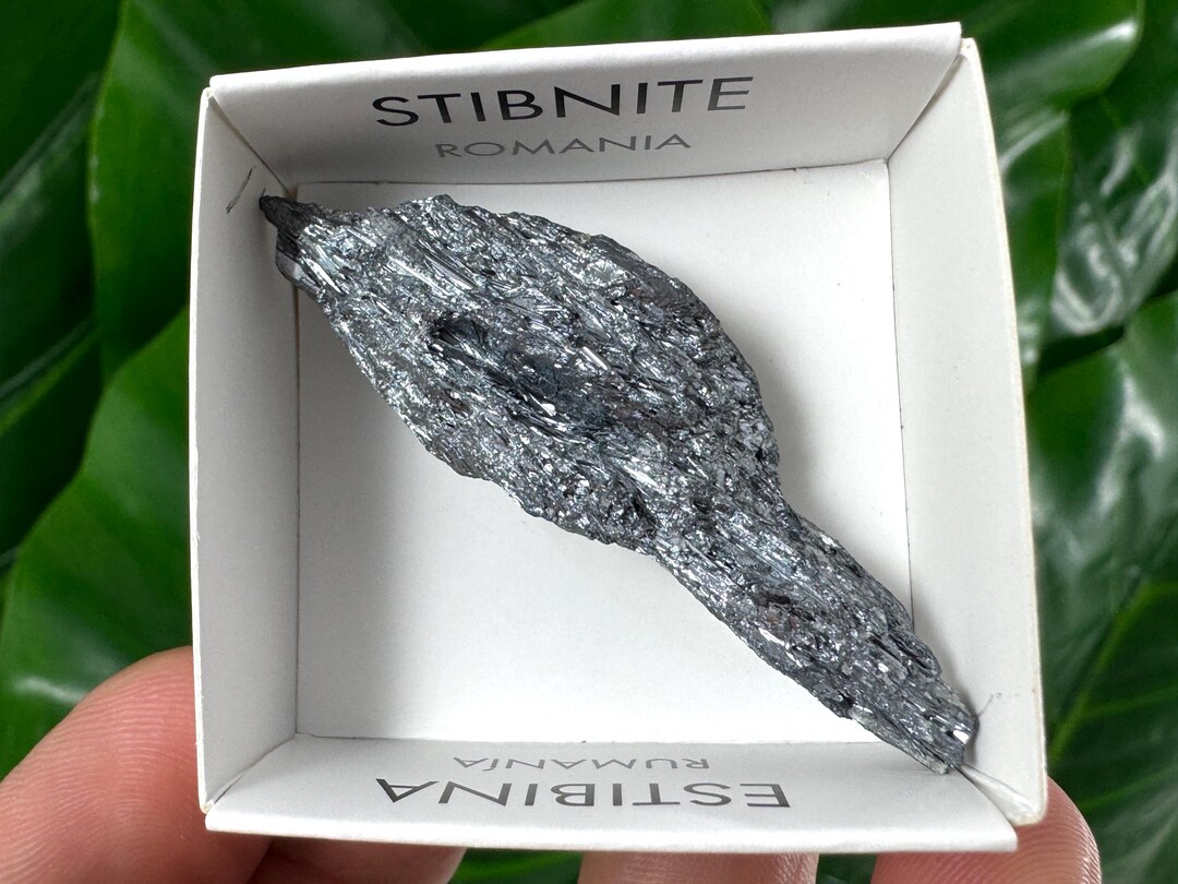 Natural Stibnite Antimonite From Romania – Sharp Metallic Crystal ...