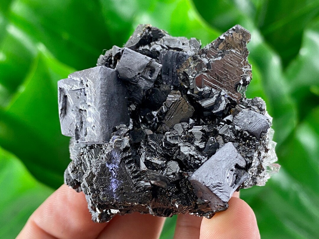 Amazing Sphalerite With Galena From Krushev Dol Mine Madan,bulgaria ...