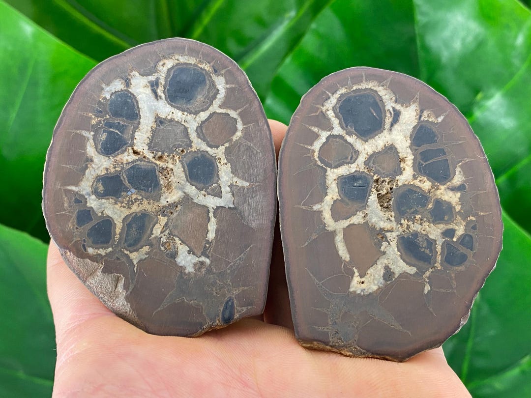 Polished Septarian Geode Pair From Morocco,dragon Stone Black Crystal ...