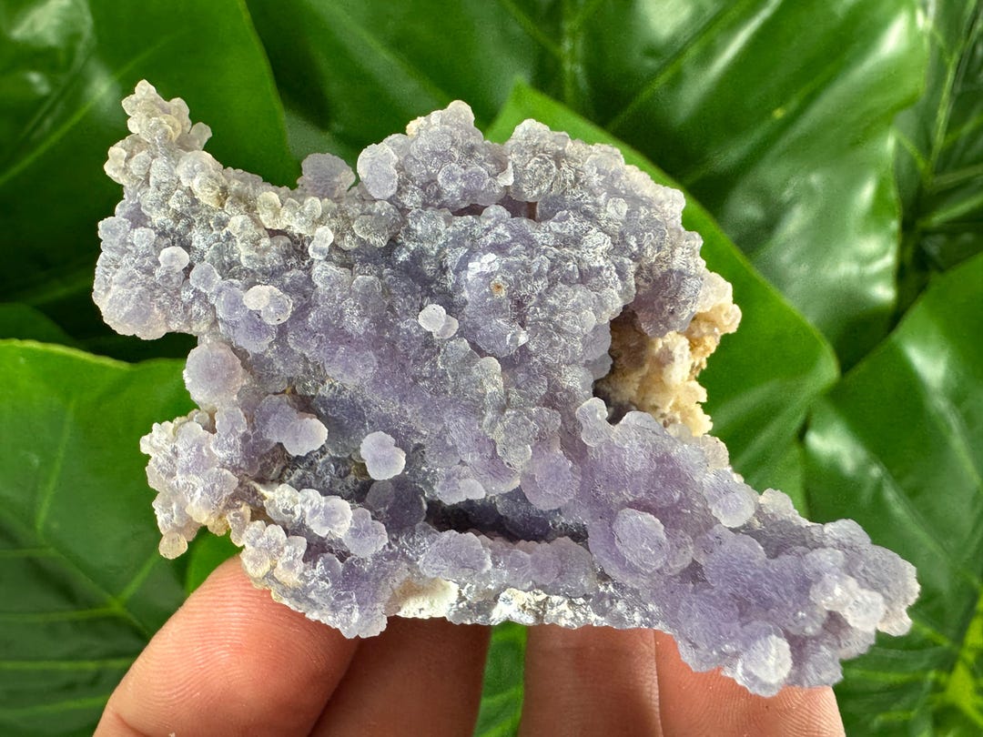 Very Nice Grape Agate From Indonesian,grape Agate,purple Grape Agate ...