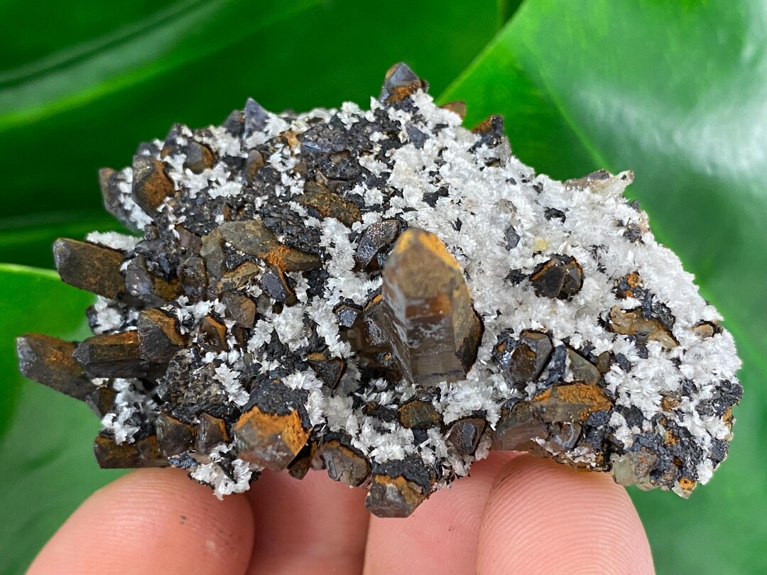 Hemimorphite on Quartz With Iron Oxide From 9th September Mine,madan ...
