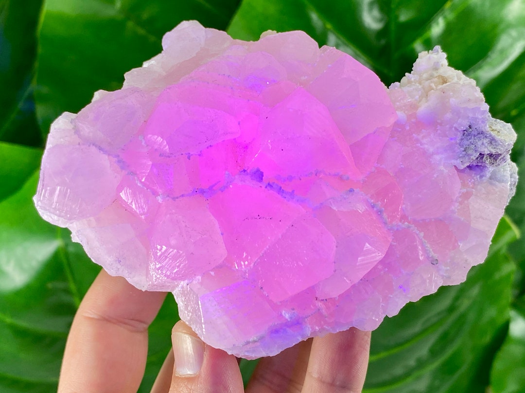 Strong Fluorescent Pink Mangano Calcite From Androvo Mine,zlatograd ...