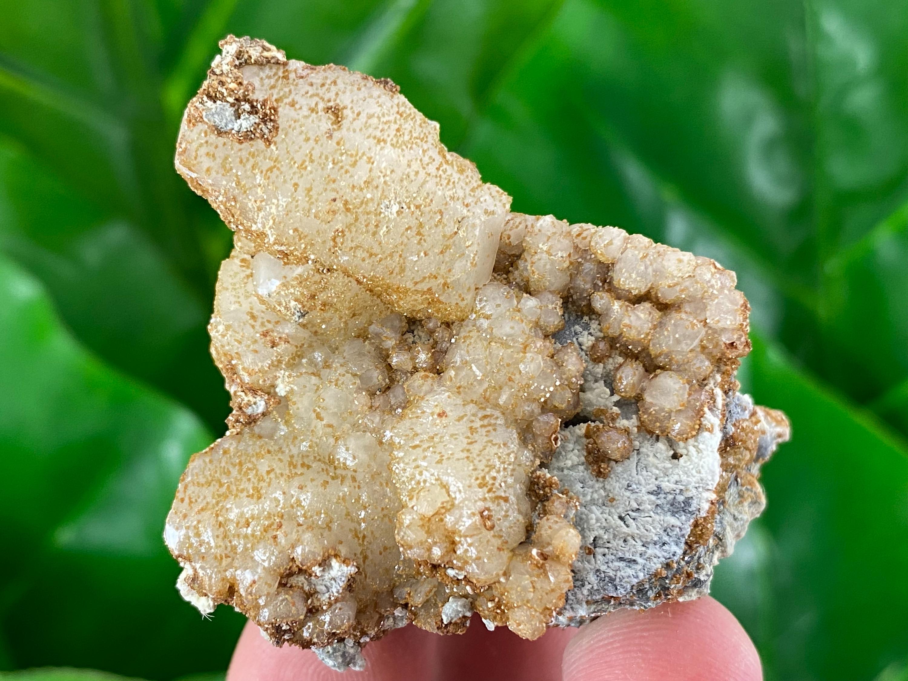 Rare Brown Rhodochrosite on Calcite From Djurkovo Mine,laki ,bulgaria ...