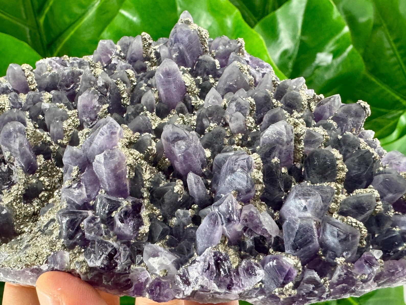Rare Amethyst With Pyrite From Chala Mine Bulgaria,bulgarian Amethyst ...