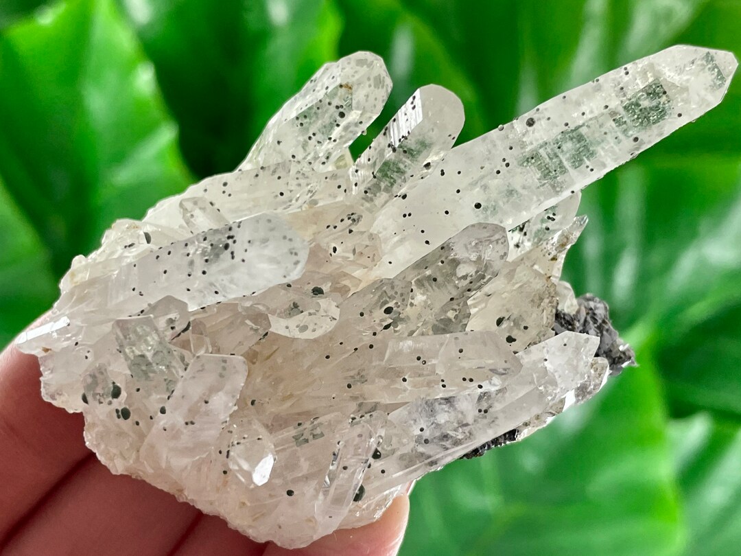 Transparent Quartz With Chlorite From Borieva Mine,madan,bulgaria ...