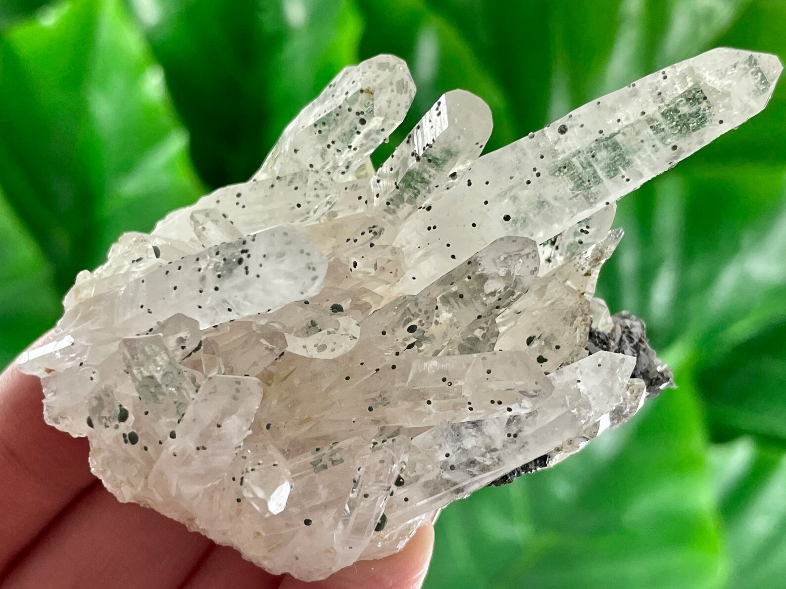 Transparent Quartz With Chlorite From Borieva Mine,madan,bulgaria ...
