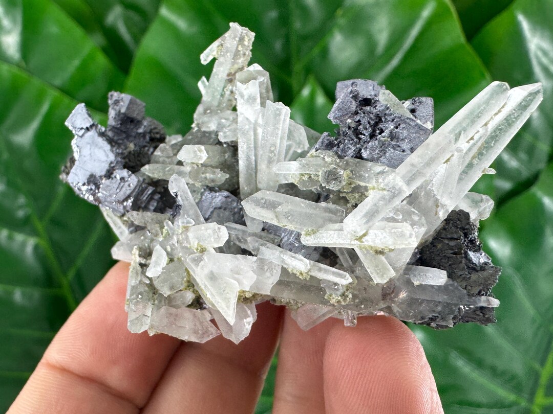 Quartz With Galena,sphalerite From Krushev Dol Mine,madan,bulgaria ...