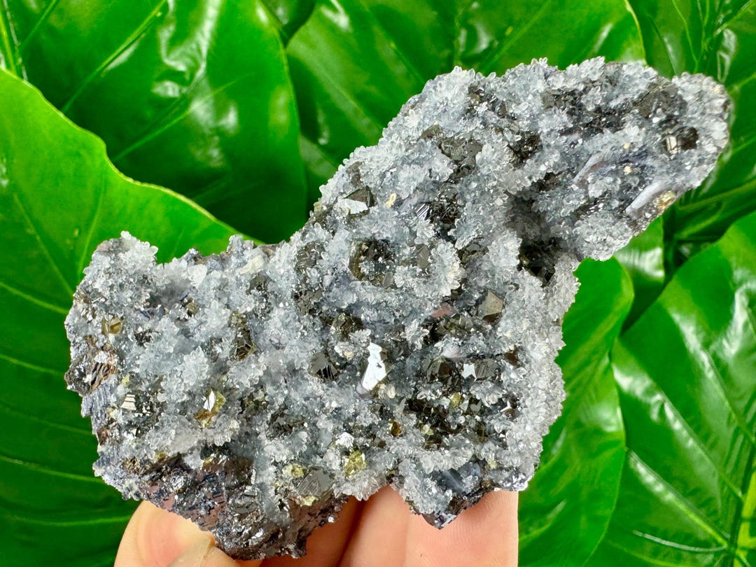 Quartz With Gem Sphalerite From Krushev Dol Mine,madan,bulgaria,mineral ...