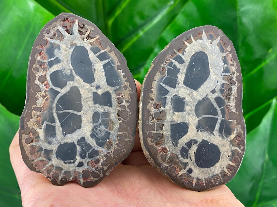 Polished Septarian Geode Pair From Morocco,dragon Stone Black Crystal ...