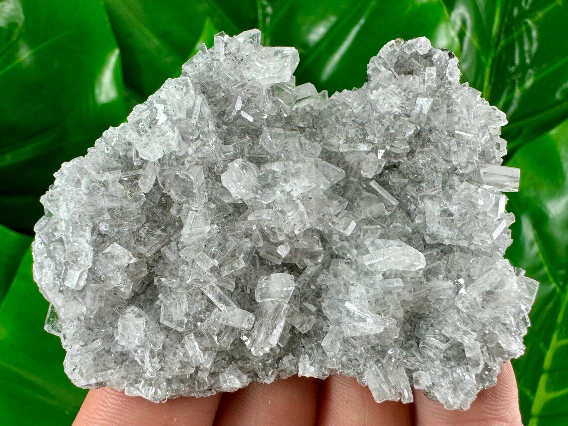 Transparent Baryte With Pyrite From Androvo Mine,zlatograd,bulgaria ...