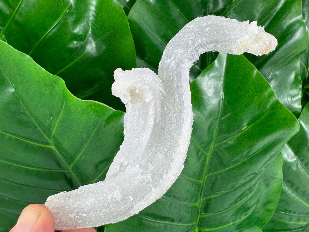 Incredible 'ram's Horn' Selenite- Gypsum From Guizhou,china,rare Gypsum ...