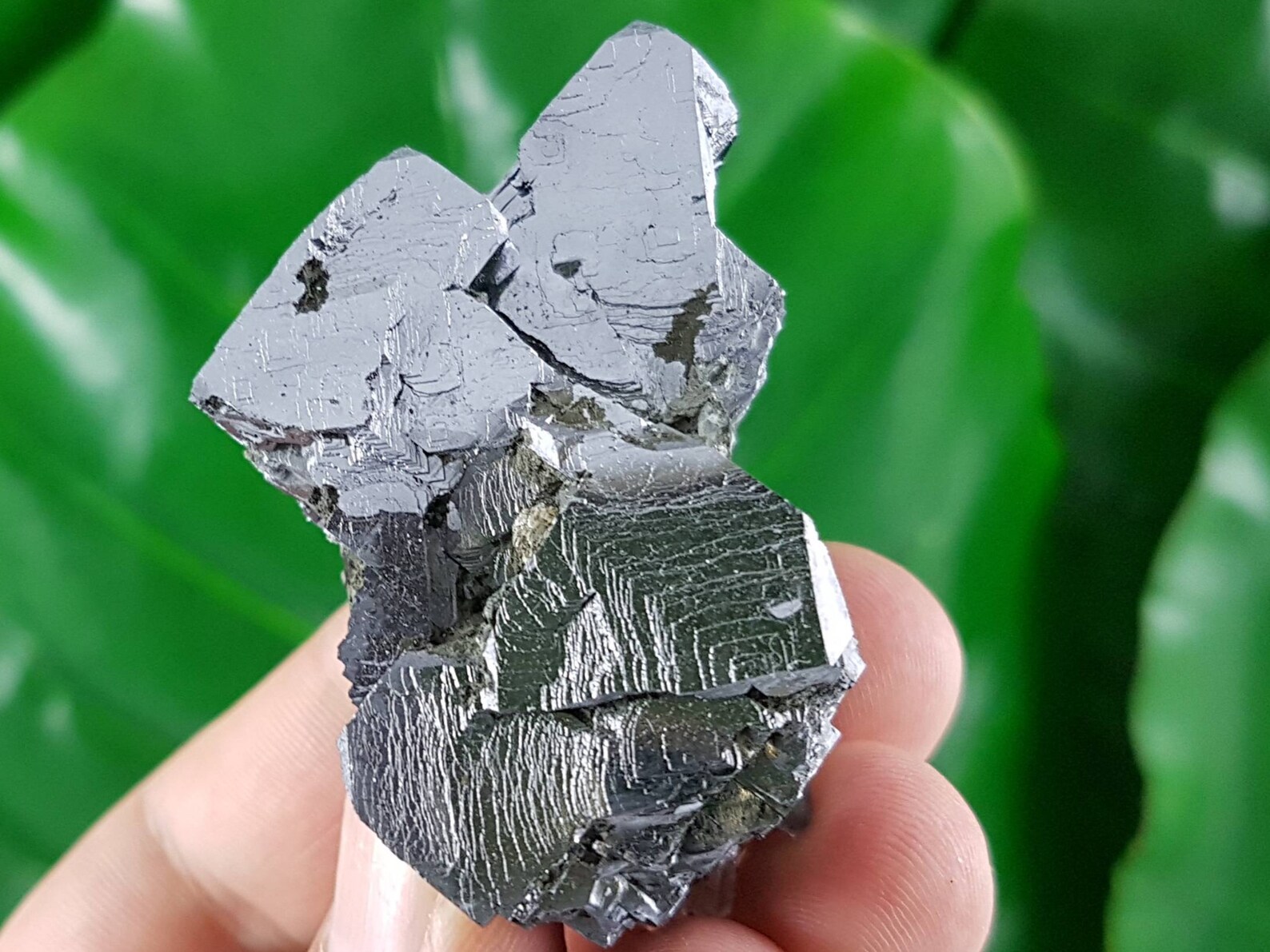 INCREDIBLE Luster Galena With Chlorite From Bulgaria Galena | Etsy
