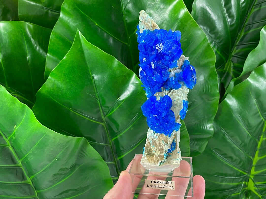 Amazing BIG Chalcanthite on Gypsum,mineral,crystal,chalcanthite on ...