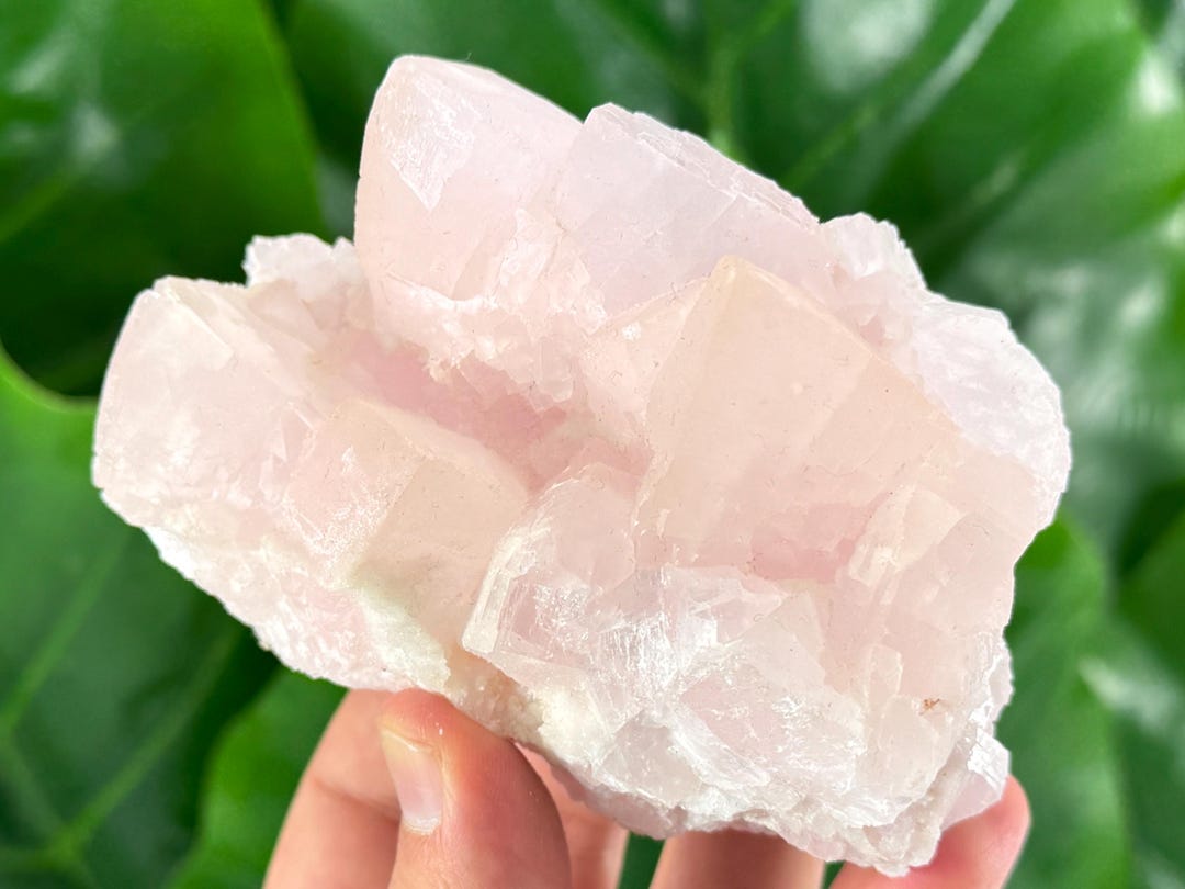 Strong Fluorescent Pink Mangano Calcite From Androvo Mine,zlatograd ...