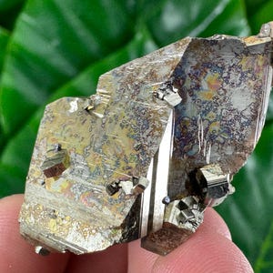 Rare Crystallization Pyrite With From Borieva Mine Madan,bulgaria ...