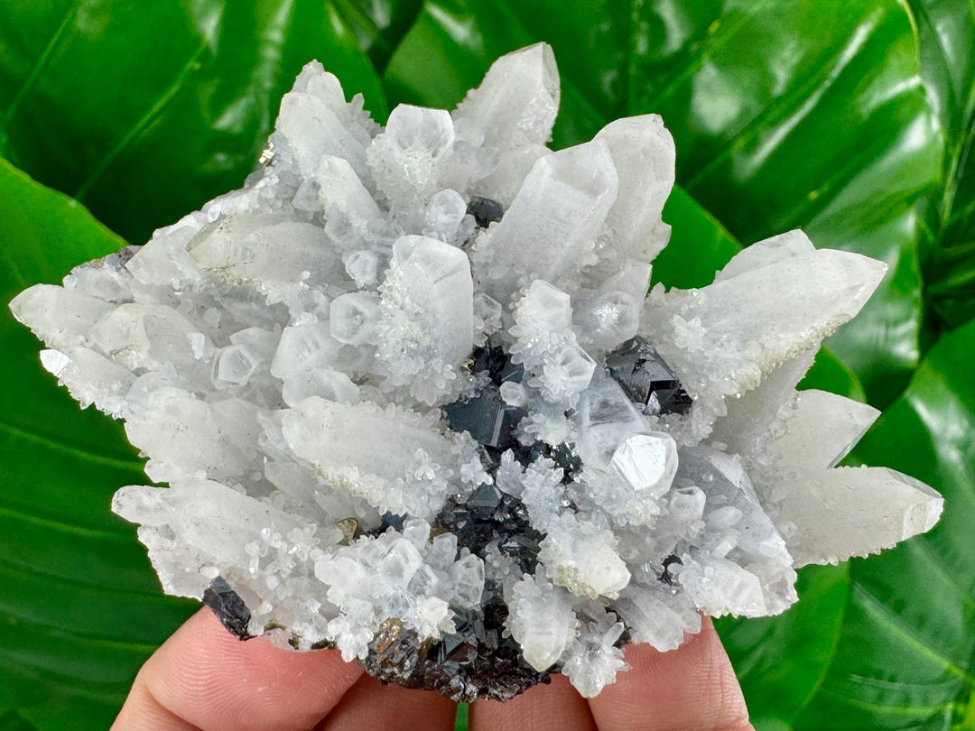 Aesthetic Quartz With Sphalerite and Galena From Borieva Mine,madan ...