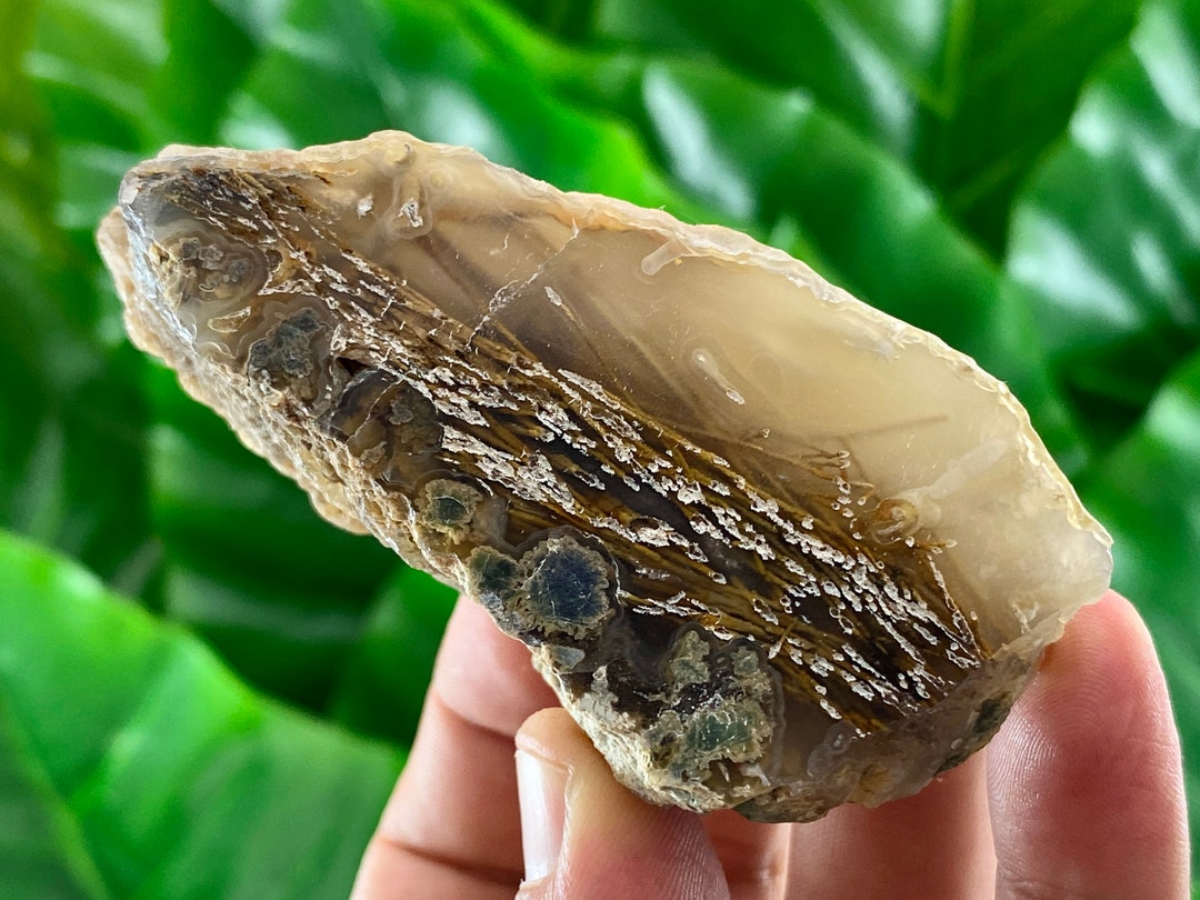 Rare Polished Sagenite Agate From Bulgaria,geode Agate,bulgarian Agate ...
