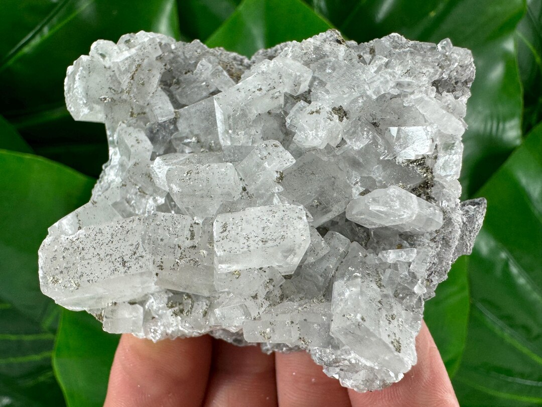 Transparent Baryte With Pyrite From Androvo Mine,zlatograd,bulgaria ...
