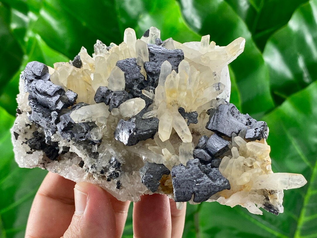Galena on Quartz With Limonite From 9th September Mine,madan,bulgaria ...