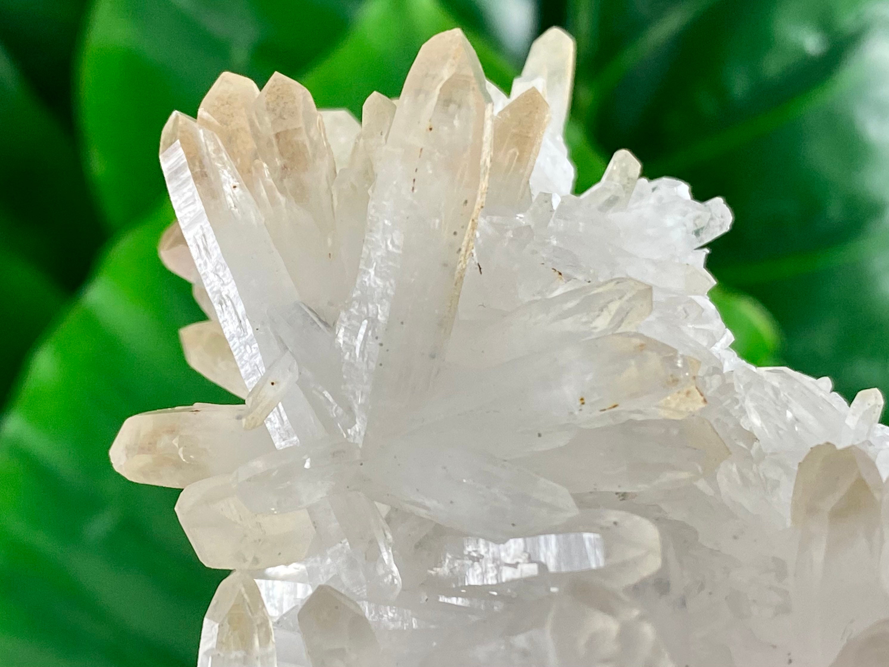 Aesthetic Quartz Cluster From 9th September Mine,madan,bulgaria ...