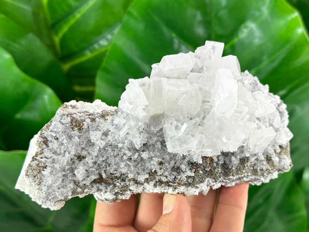 Rare Baryte With Pyrite on Matrix From Androvo Mine,zlatograd,bulgaria ...