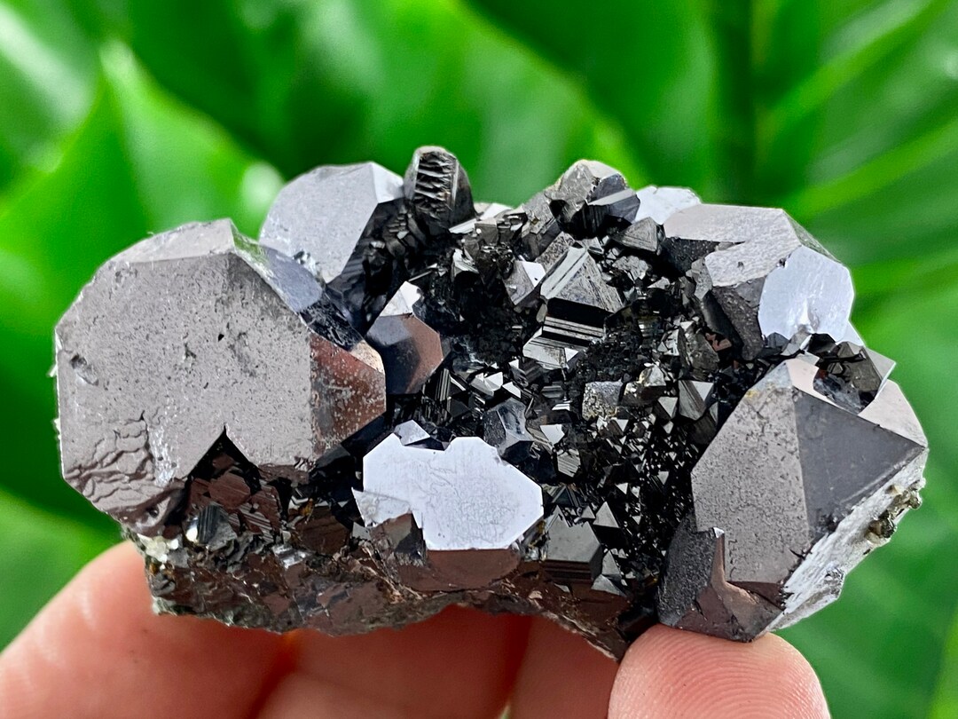 Amazing Galena With Sphalerite From Gidurska Mine,zlatograd,bulgaria ...