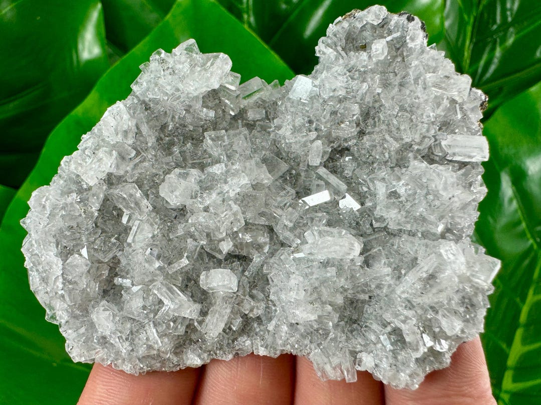 Transparent Baryte With Pyrite From Androvo Mine,zlatograd,bulgaria ...