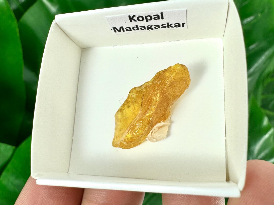 Amazing Copal From Madagascar ,madagascar Minerals,amber Copal Amber ...