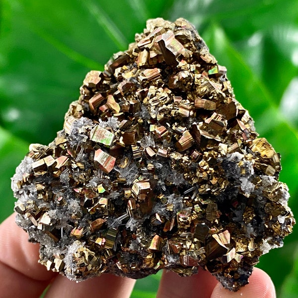 Iridescent Gold - Etsy