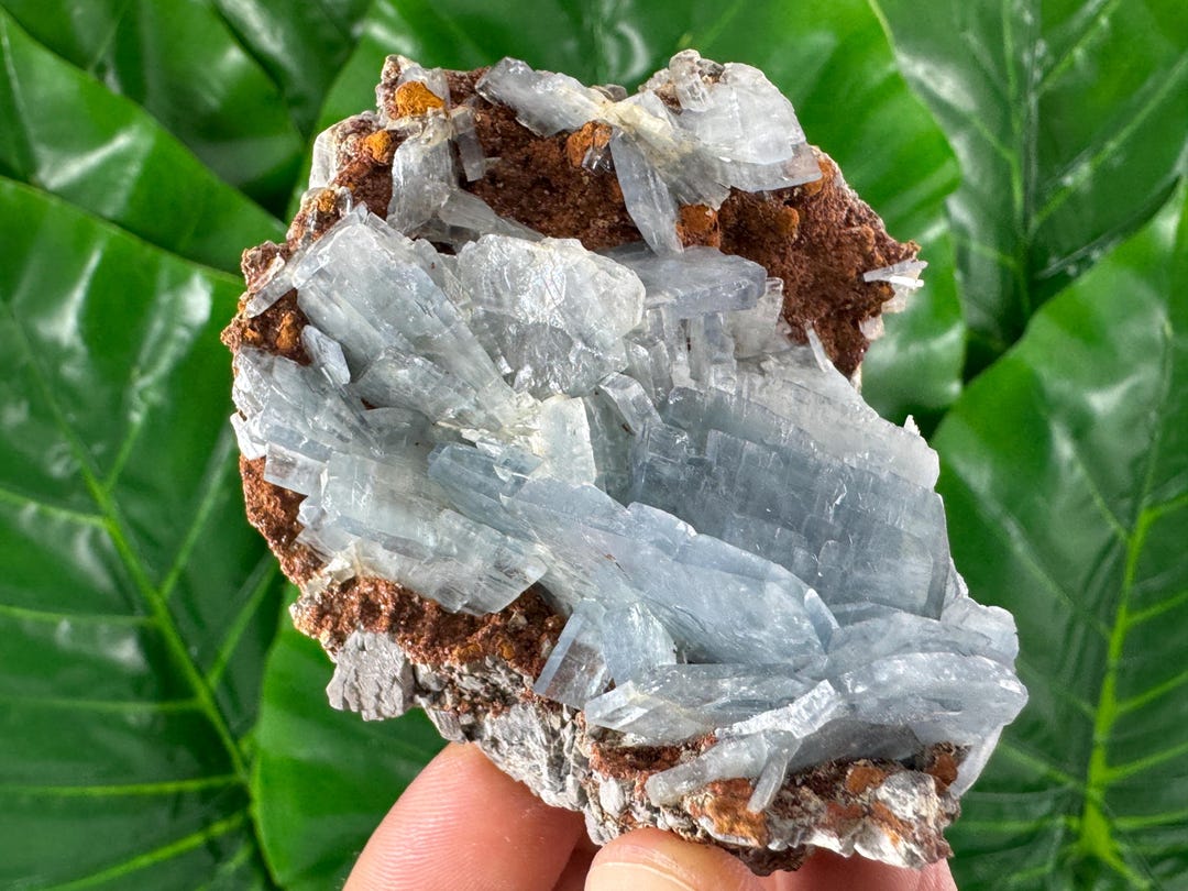 Very Rare Find!!! Blue Baryte From San Jorge Mine,portman, Cartagena ...