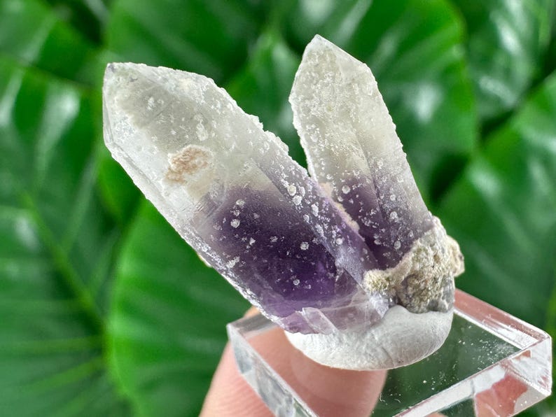 Mini Amethyst Phantom With Free Stand From Djurkovo Mine,laki,bulgaria ...