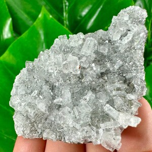 Transparent Baryte With Pyrite From Androvo Mine,zlatograd,bulgaria ...