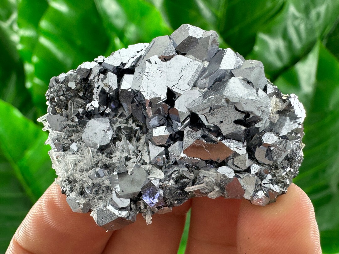 Galena With Quartz From Krushev Dol Mine,madan,bulgaria,natural Mineral ...