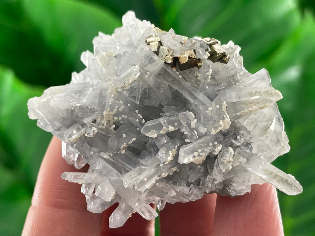Amazing Quartz,pyrite From Krushev Dol Mine,madan,bulgaria,mineral ...