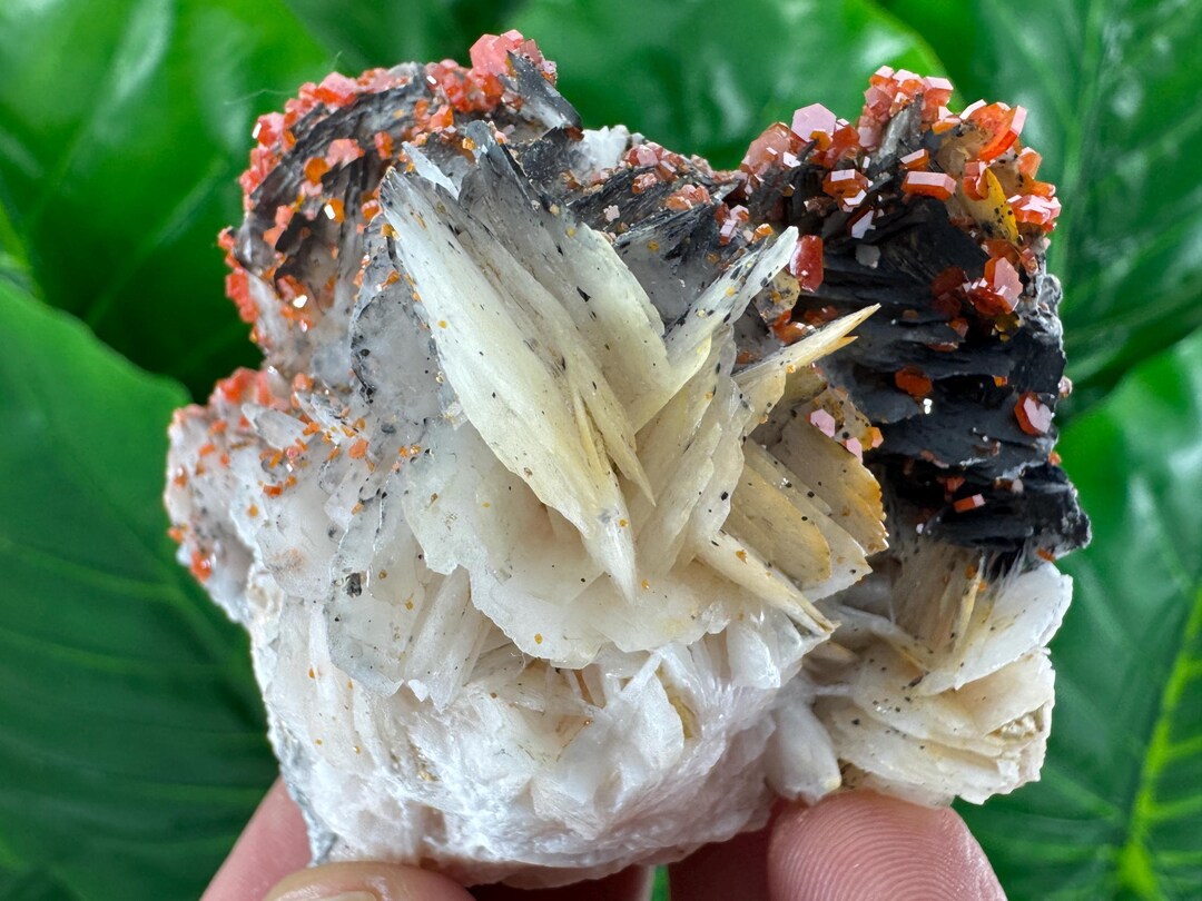A Very Nice Vanadinite From Morocco,crystal, Mineral,specimen,cluster ...